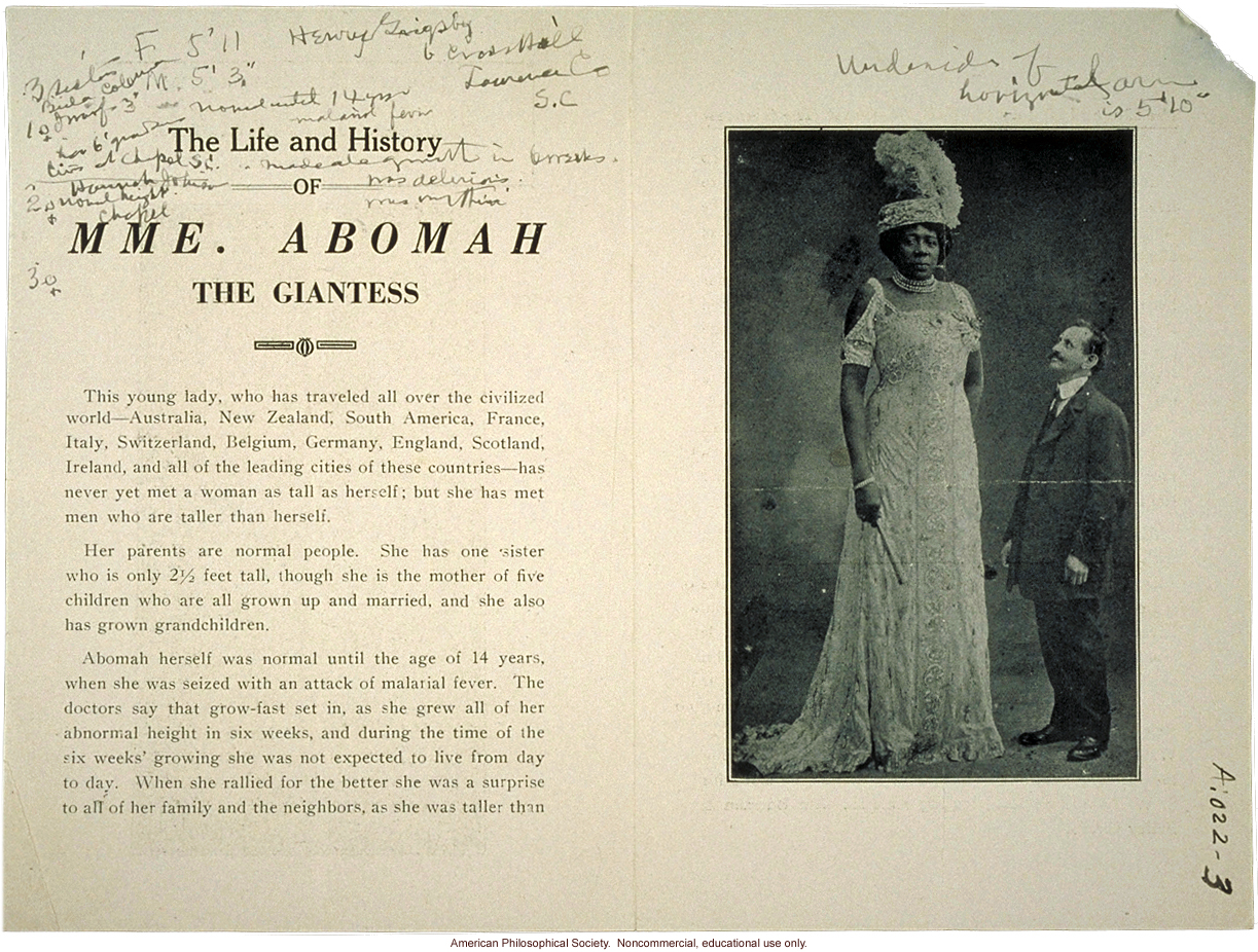 ELLA WILLIAMS | THE AMERICAN BLACKSTORY